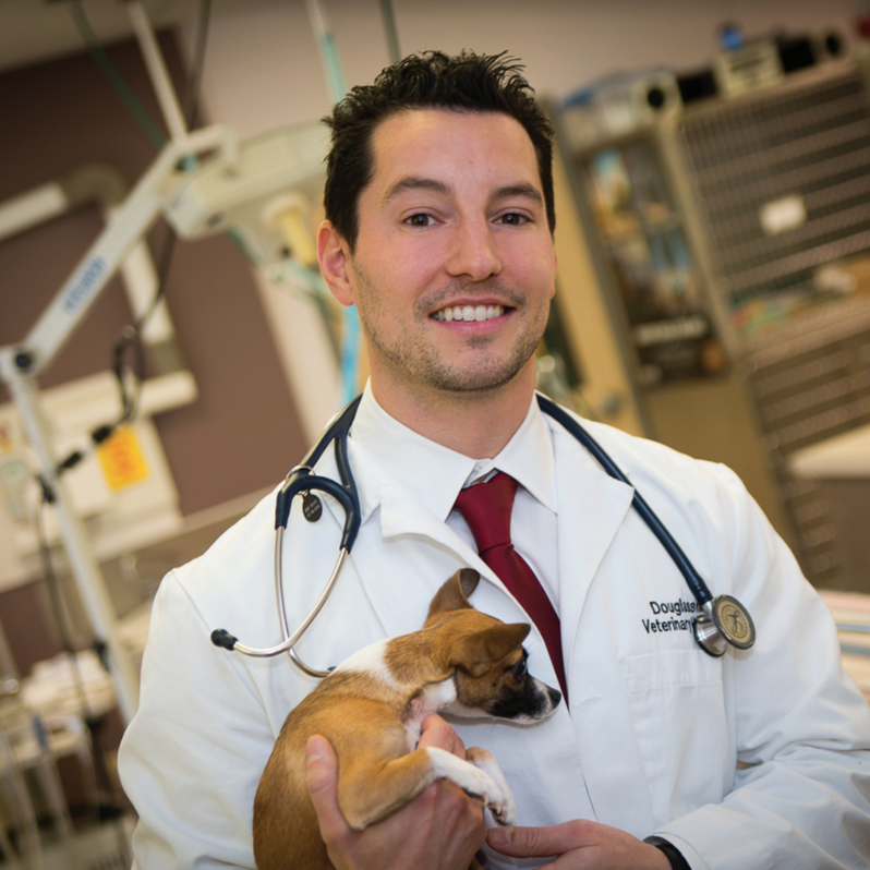 Geoff DeWire, DVM | Devon Veterinary Hospital